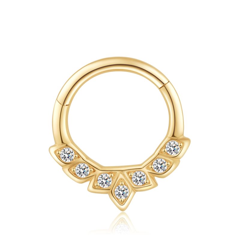 Elevate Your Piercing Style with Hinged Segment Rings | Gold Piercing ...