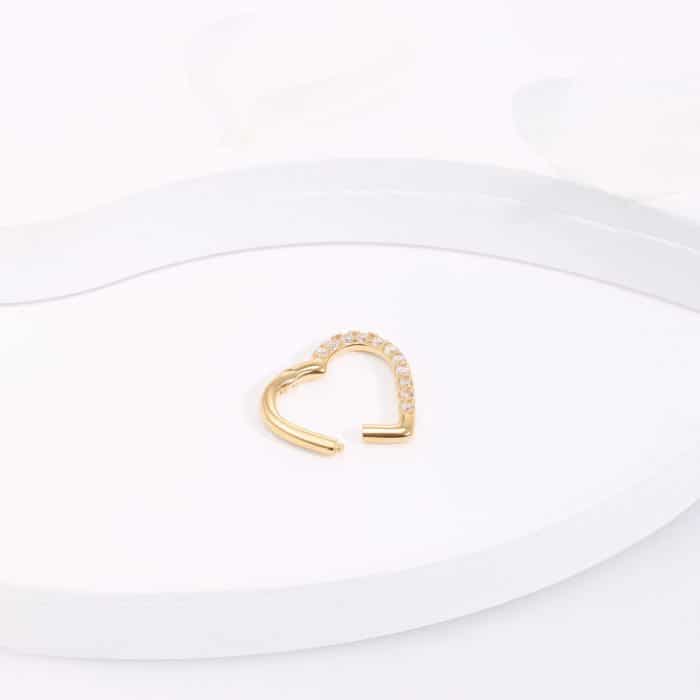 14K Solid Gold | Piercing Jewelry | Hinged Segment Ring - GPF Jewelry